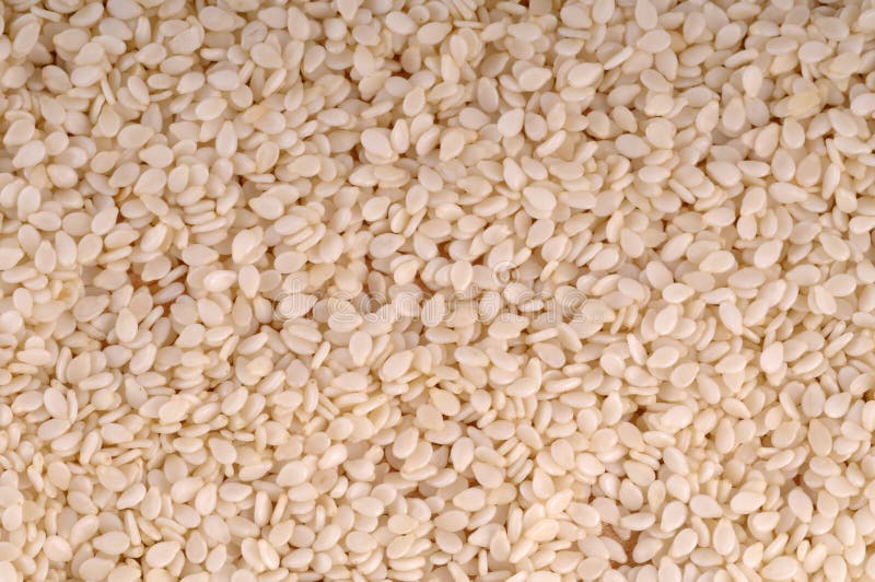 Sesame Seed stock photo. Image of object, food, healthy - 89160