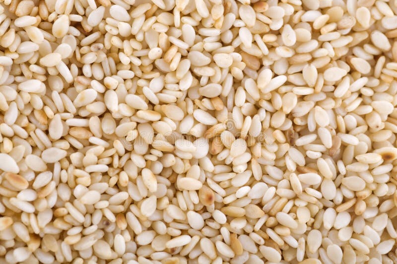 Sesame Seed stock photo. Image of object, food, healthy - 89160