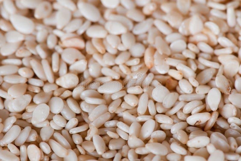 Sesame Picture. Image: 8948766