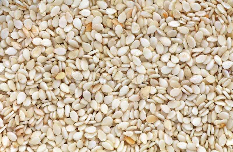Sesame-background stock photo. Image of seed, people - 47907782