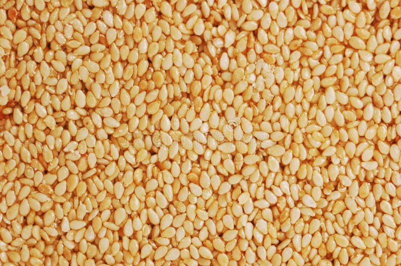 Sesame brittle stock photo. Image of organic, snack, seed - 17130198