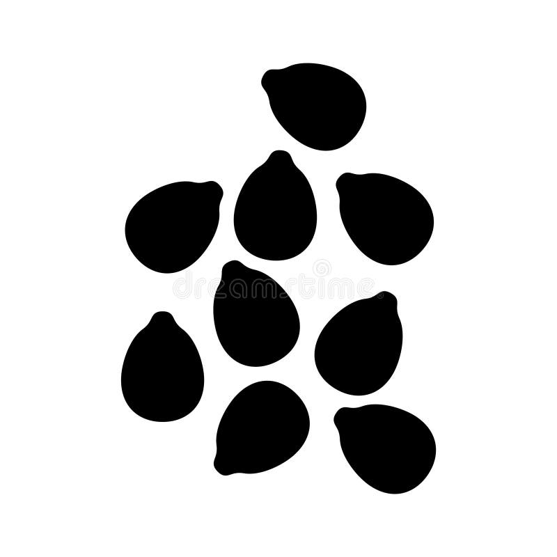 Sesame Icon, Vector Illustration Stock Vector - Illustration of natural ...