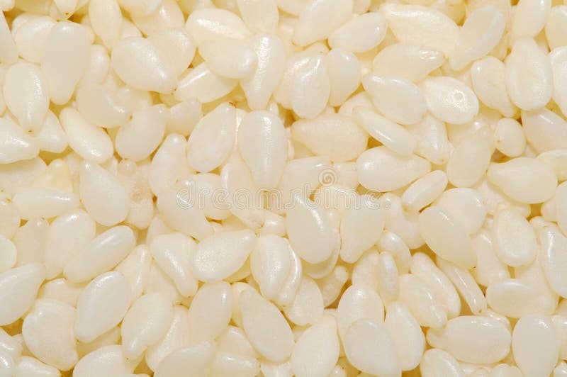 Sesame Macro 1:1 stock photo. Image of closeup, cuisine - 5700176