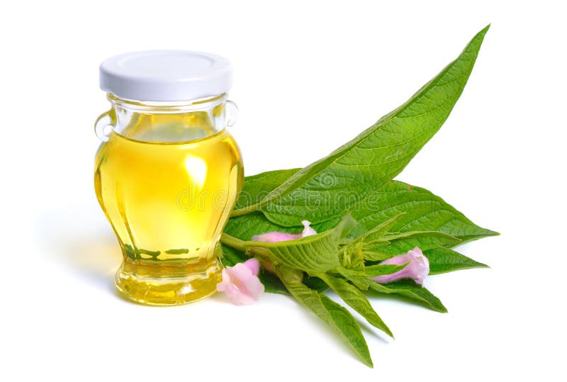 Sesame Oil With Plant Isolated On White Background Stock Image - Image ...