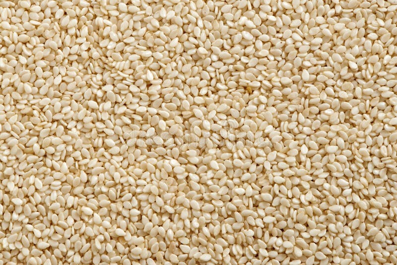 Sesame seed stock photo. Image of macro, seed, aromatic - 49863884