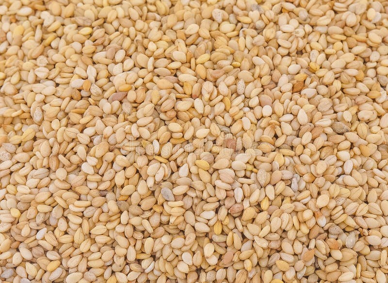 Sesame seed stock photo. Image of copy, nature, closeup - 142690788
