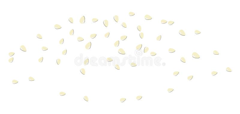 Sesame Seed for Hamburger Roll Vector Symbol Icon Design. Stock Vector ...