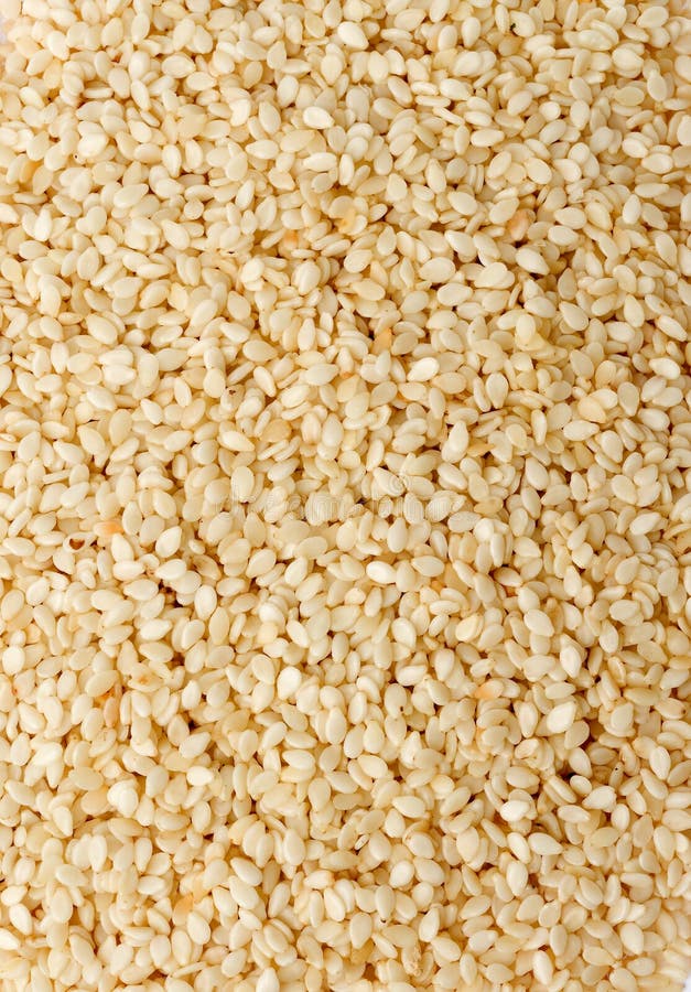 Sesame seeds stock photo. Image of sesame, seeds, healthy - 11797576