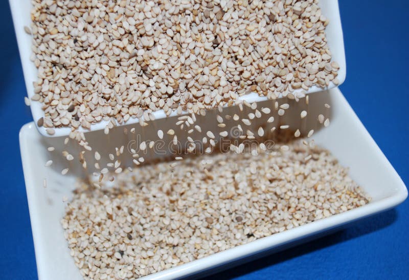 Sesame seeds stock image. Image of shell, salads, seed - 15188683