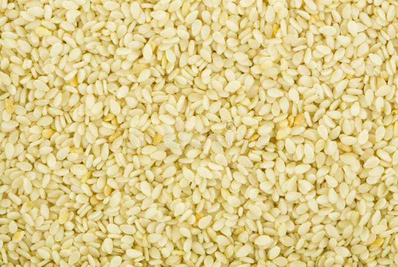 Sesame Seeds stock photo. Image of condiment, healthy - 35720096