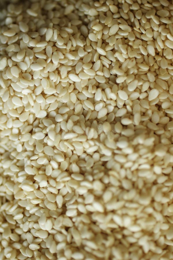Sesame seeds stock image. Image of colorful, ingredient - 17206871