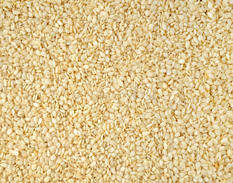 Sesame Seed stock photo. Image of object, food, healthy - 89160