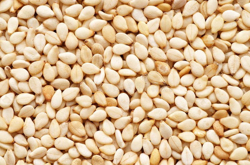 Sesame Seeds stock photo. Image of protein, nutrition - 19828838