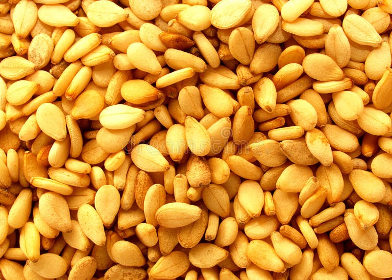 Sesame seeds stock image. Image of cook, flavor, organic - 4029575