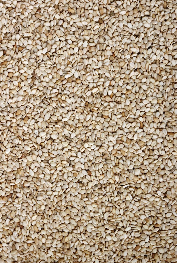 Sesame Seed stock photo. Image of object, food, healthy - 89160