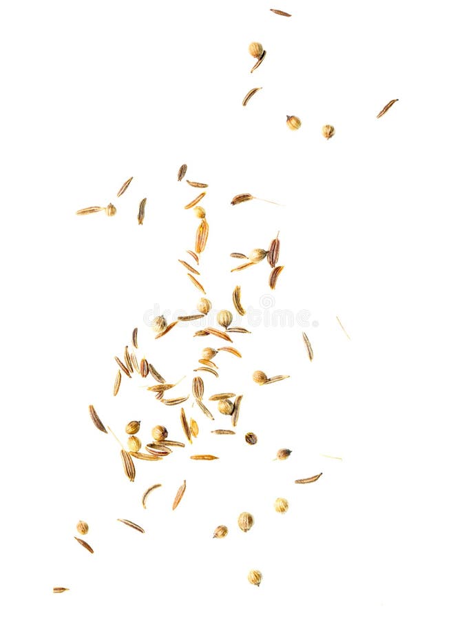 Sesame Seeds with Bread on White Background Stock Photo - Image of ...