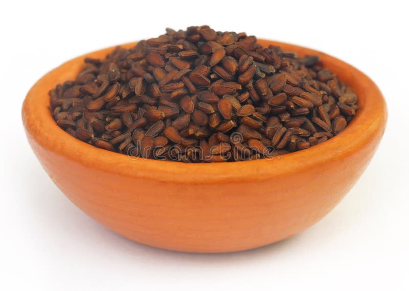 Sesame Seeds with Green Pods Stock Photo - Image of organic, nature ...