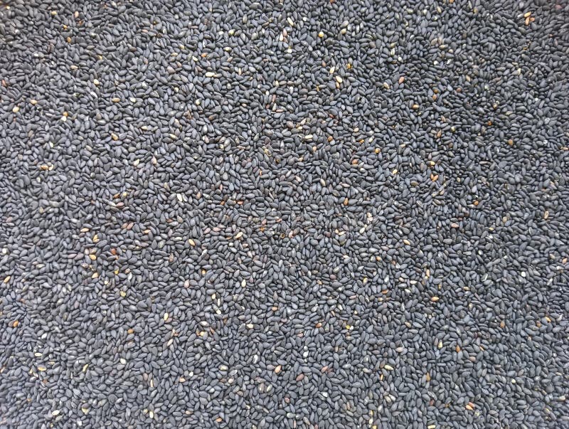 Sesame Seeds Gray Background Texture Wallpaper Stock Image - Image of ...