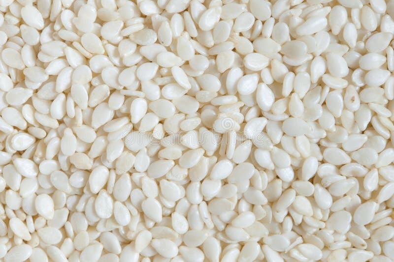 Sesame Seeds stock image. Image of macro, seeds, texture - 40662919