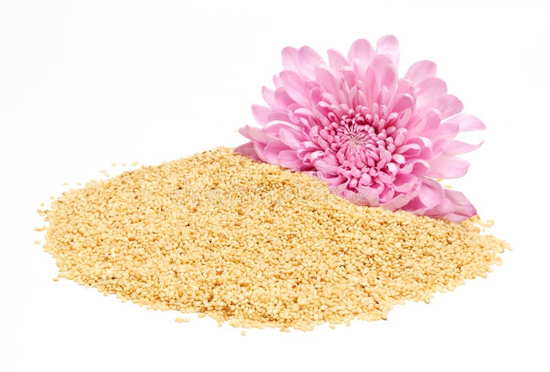 Sesame Seeds Pink Dahlia Stock Photos - Free & Royalty-Free Stock ...