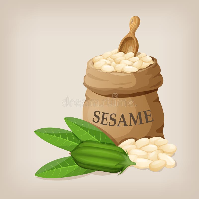 Sesame Seeds Stock Illustrations – 11,750 Sesame Seeds Stock ...