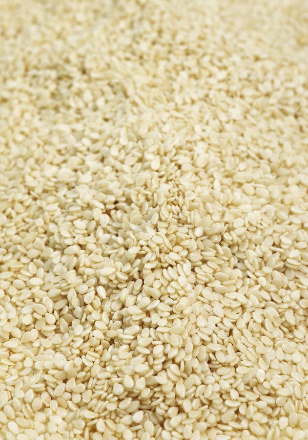 SESAME SEEDS stock image. Image of life, still, cultivation - 194417325
