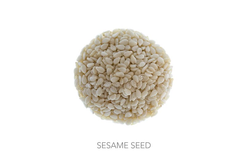 Sesame seeds in shape ball stock image. Image of detail - 72299531