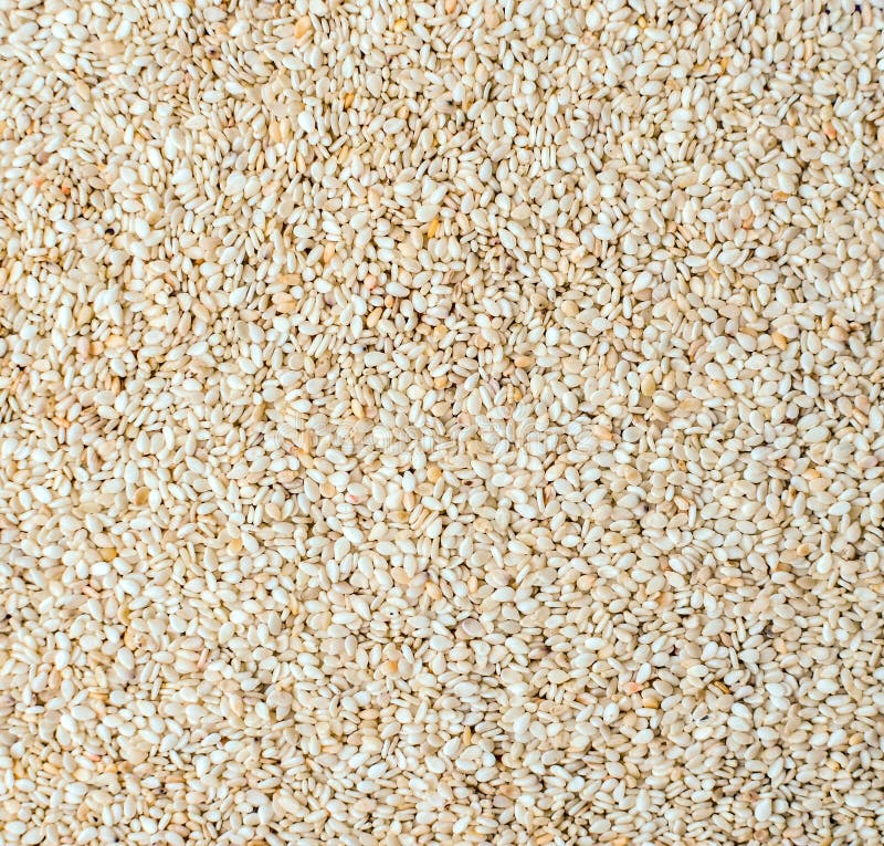 Sesame seeds texture stock image. Image of plant, gourmet - 151747047