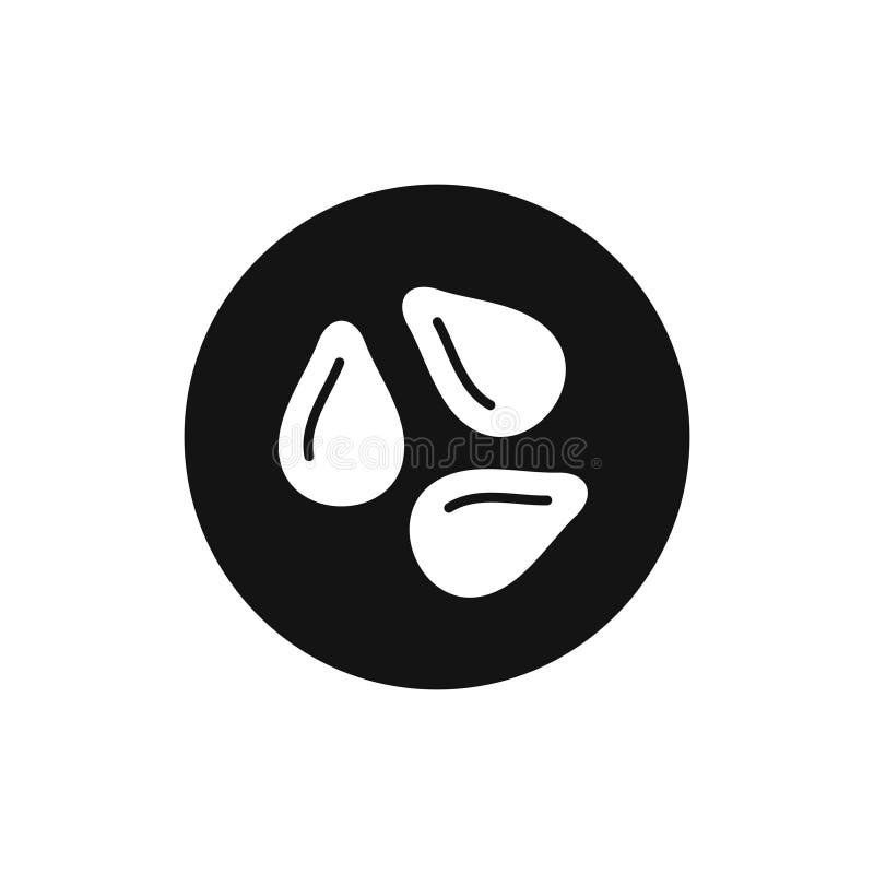 Sesame seeds vector icon stock vector. Illustration of isolated - 296241100