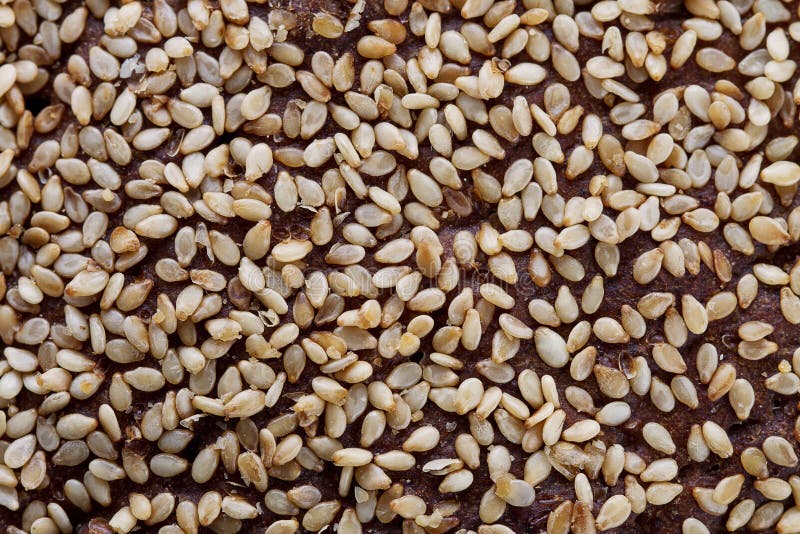 Sesame texture stock photo. Image of slices, yellow, white - 23742012