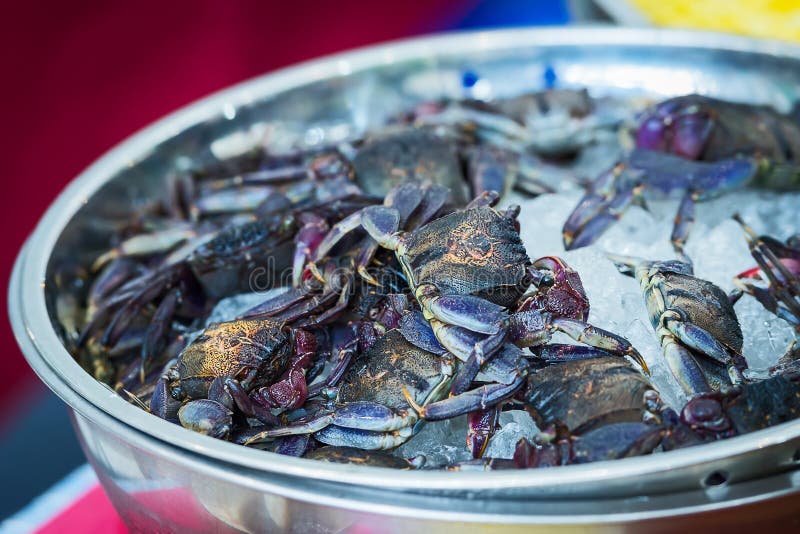 Sesarma in supermarket. stock image. Image of crustacean - 104034921