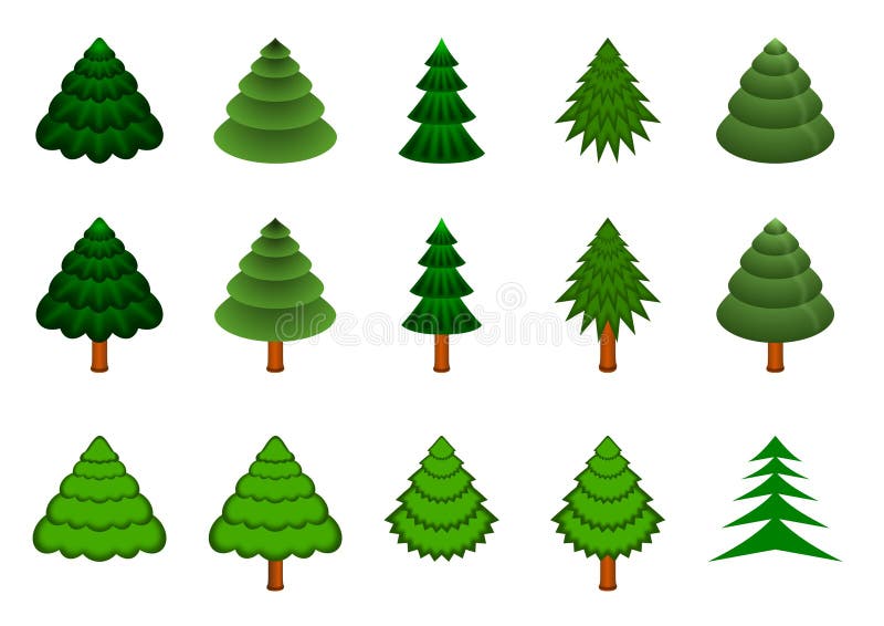 Set 15 Vector Conifers Stock Illustrations – 2 Set 15 Vector Conifers ...