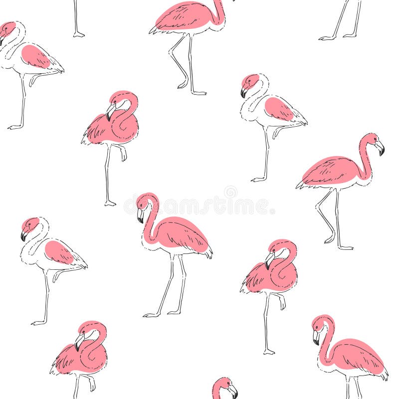 Vector Seamless Pattern with Flamingos Isolated on White Background ...