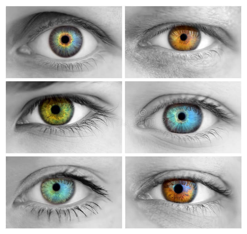 Multi color human eyes stock photo. Image of variant, eyes - 6351856