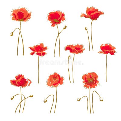 Line Drawing Poppy Stock Illustrations – 9,181 Line Drawing Poppy Stock ...