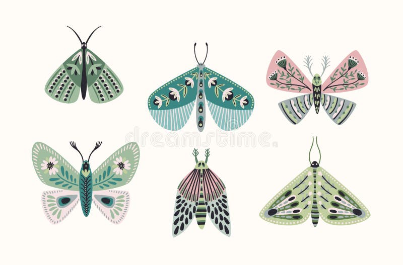 Set of Abstract Butterflies and Moths. Clipart, Isolated Elements ...