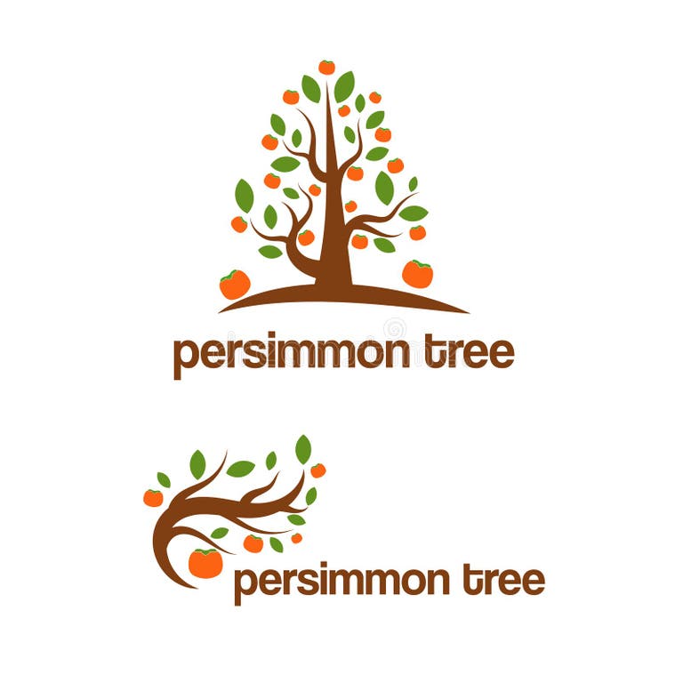 Tree Persimmon Logo Stock Illustrations – 60 Tree Persimmon Logo Stock ...