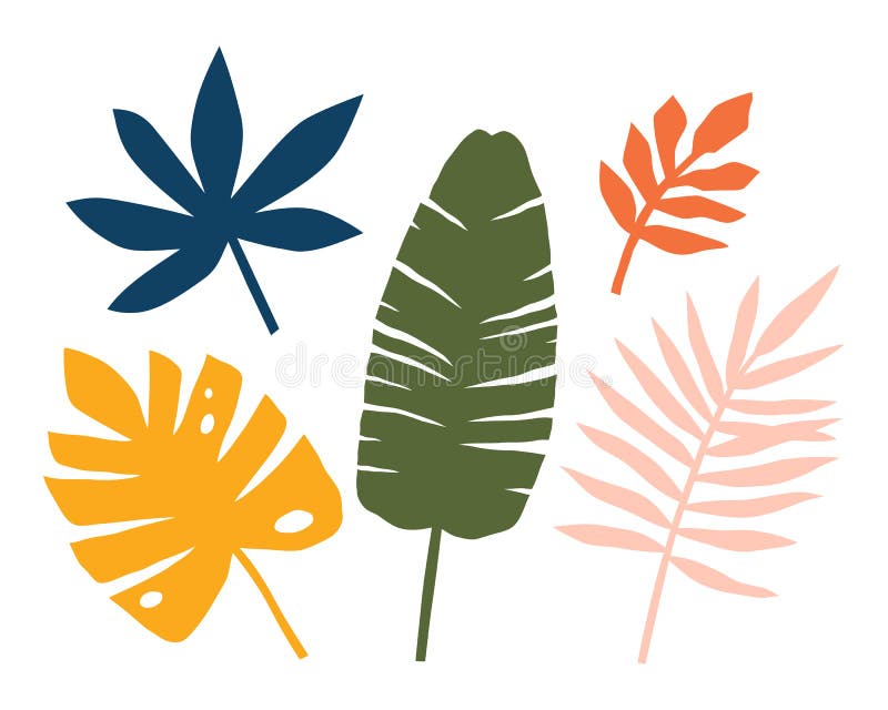 Set of Abstract Tropical Leaves, Palms, Trees. Jungle Print Stock ...