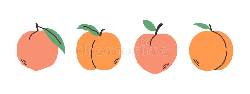 Set of Abstract Vector Peach. Simple Peach. Tropical Fruit Collection ...