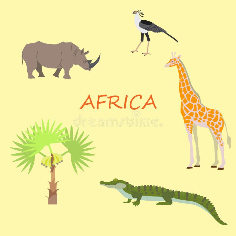 A Set of African Flora and Fauna, Vector Illustration. Stock Vector ...