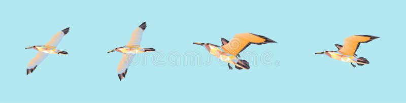 A Set of Albatross Bird is Flying Icon Design Template with Various ...