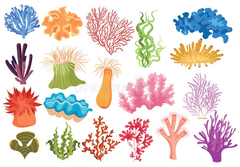 Set of Algae. Collection of Cartoon Algae. Vector Illustration for ...