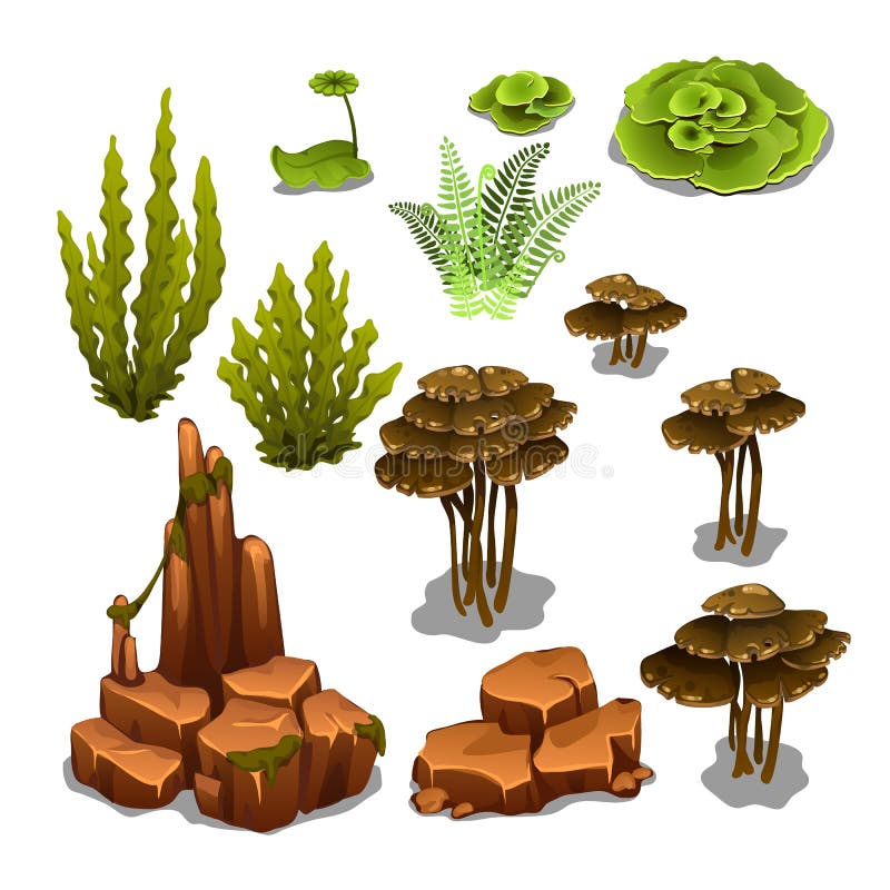 Rocks Underwater Stock Illustrations – 1,083 Rocks Underwater Stock ...