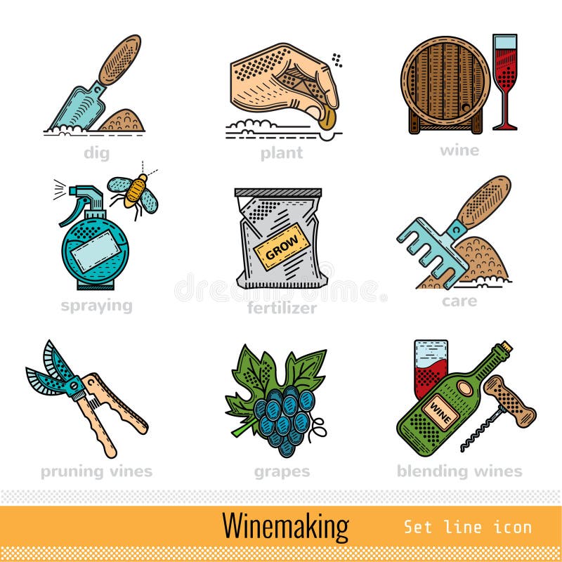 Winemaking Steps Stock Illustrations – 41 Winemaking Steps Stock ...