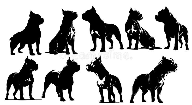 Set of American Bully Illustration Isolated Vector Stock Vector ...