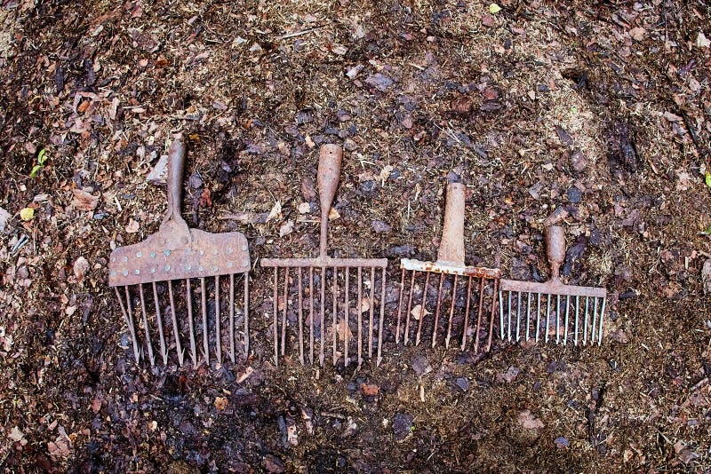 A Set of Ancient Poaching Tools for Fishing - Hooks and Forks Stock ...