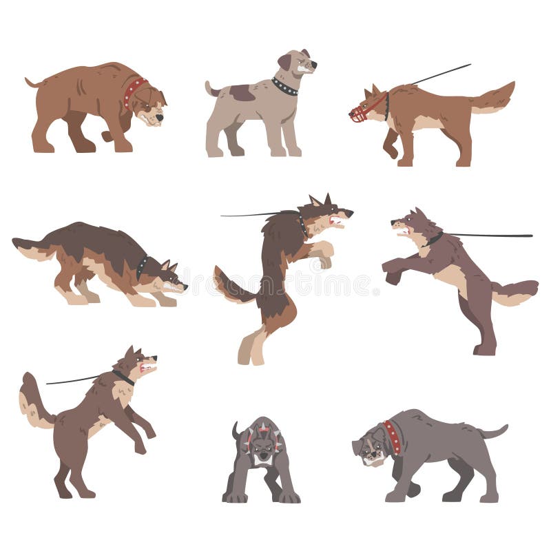 Angry Aggressive Dog on Leash Baring Its Teeth Vector Illustration ... Angry Aggressive Dog on Leash Baring Its Teeth Vector Illustration ...
