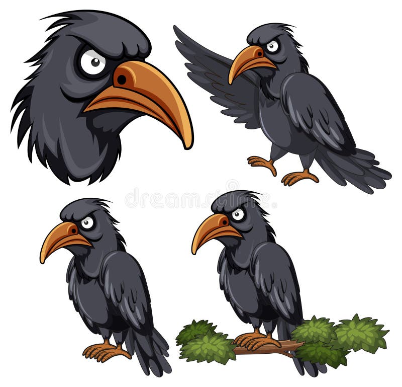 Set of Angry Raven Cartoon Character Stock Vector - Illustration of ...