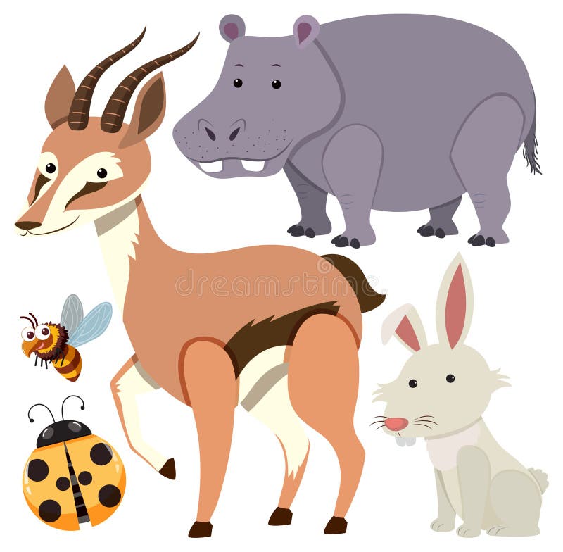 Set of Animals Cartoon Simple Style Stock Vector - Illustration of ...