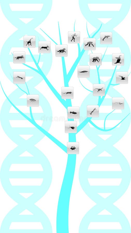 Evolution Tree Illustration Stock Vector - Illustration of information ...